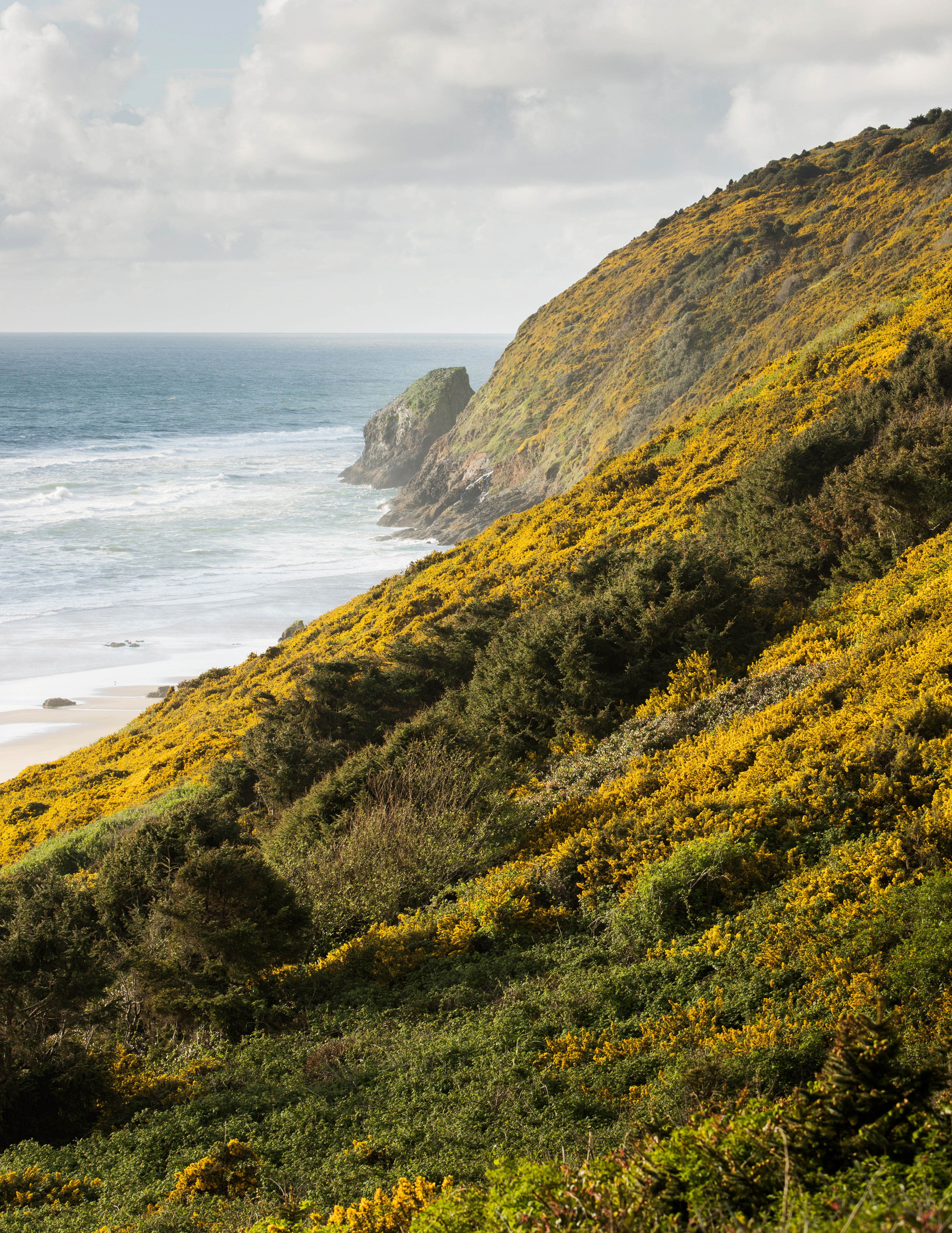 Bucket-List Oregon Coast Vacation - Sunset - Sunset Magazine