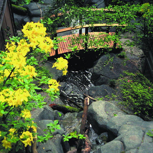 Seattle, Washington: Falling waters - Sunset Magazine