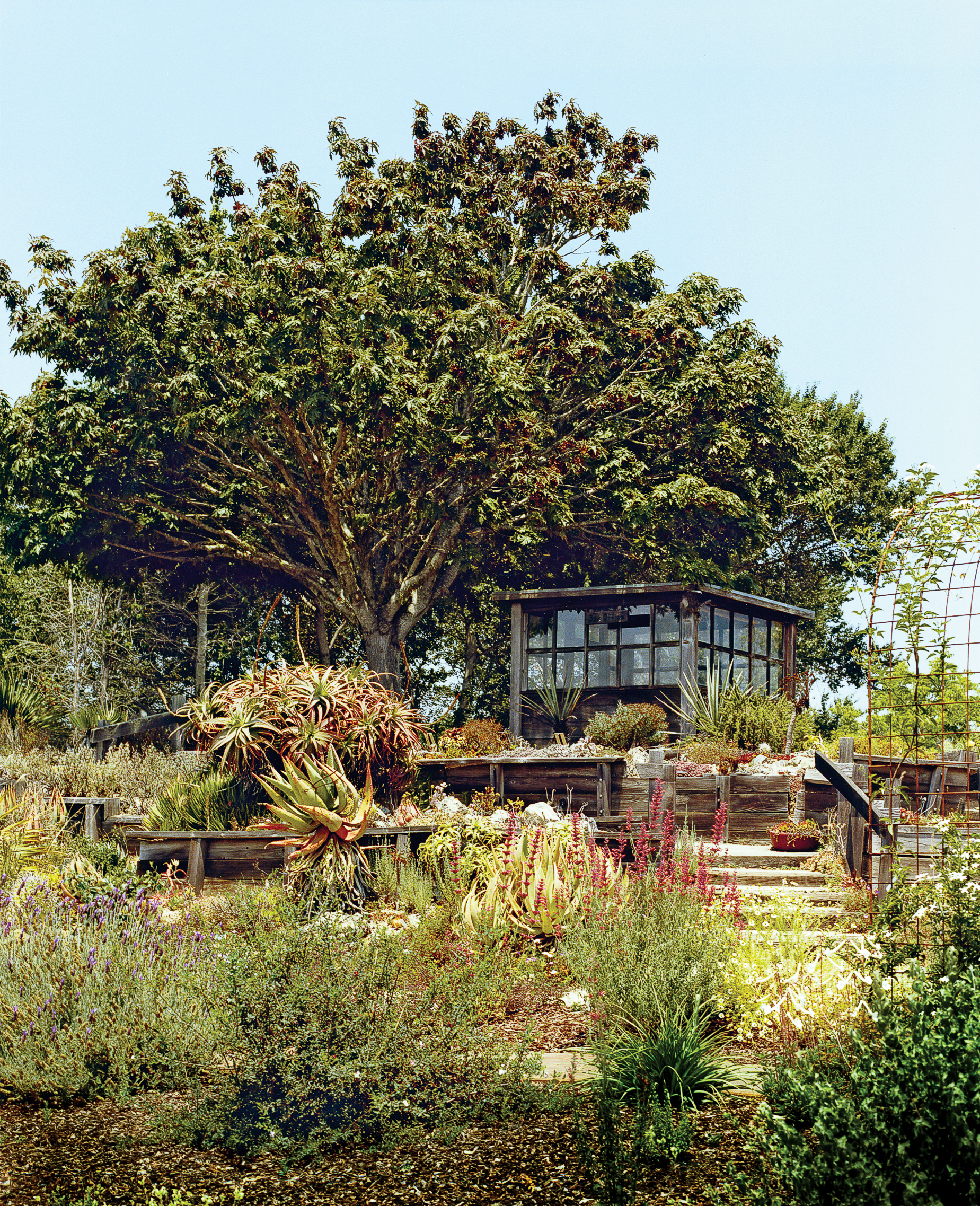 Santa Cruz Day trip itinerary - Sunset Magazine