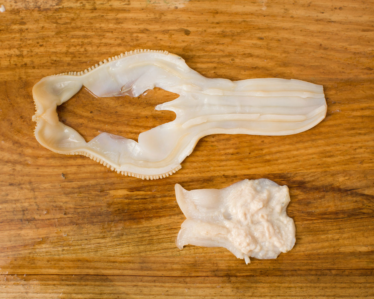 How to Clean Razor Clams - Sunset Magazine