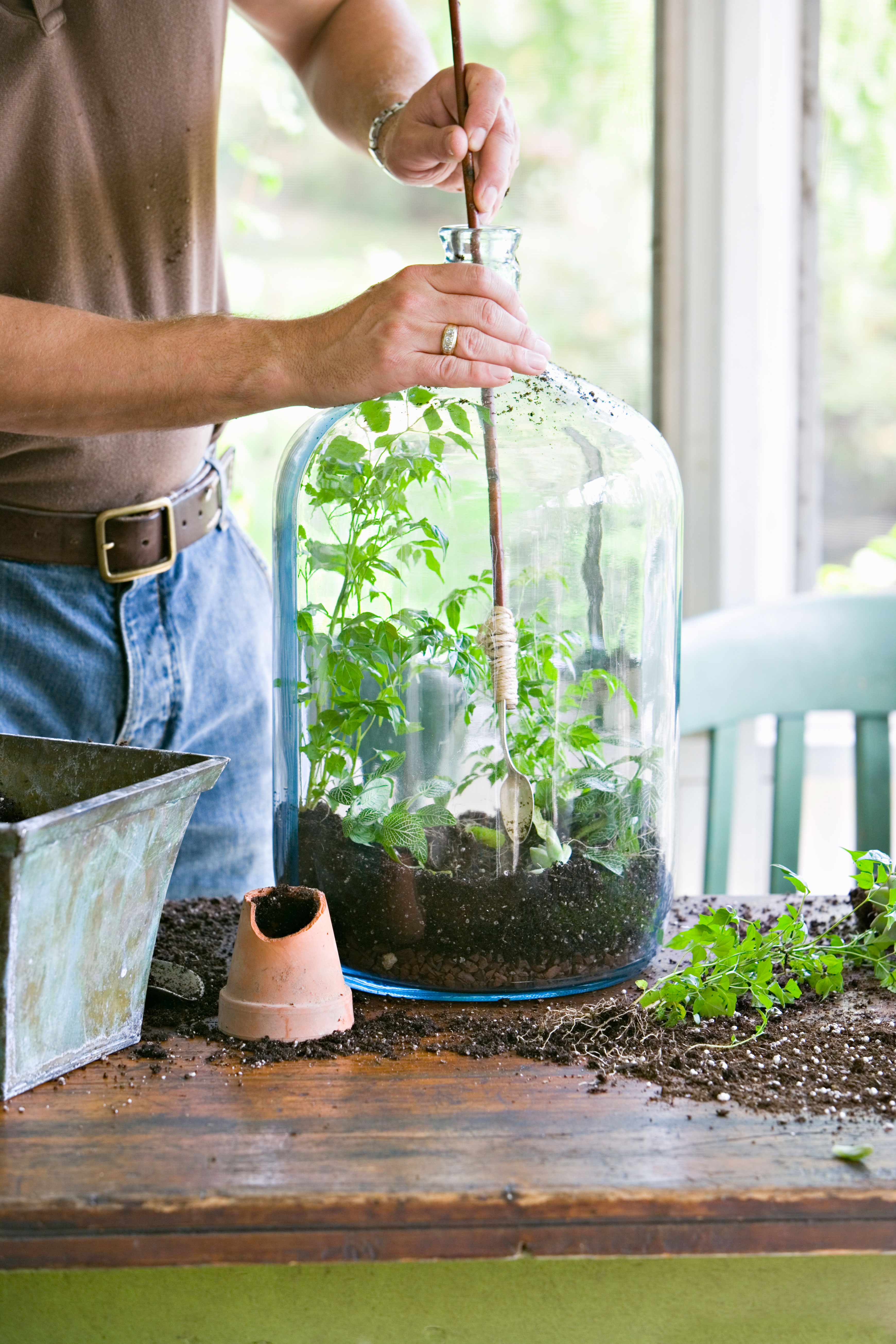 The Best Terrarium Plants for Miniature Gardens Under Glass - Sunset ...