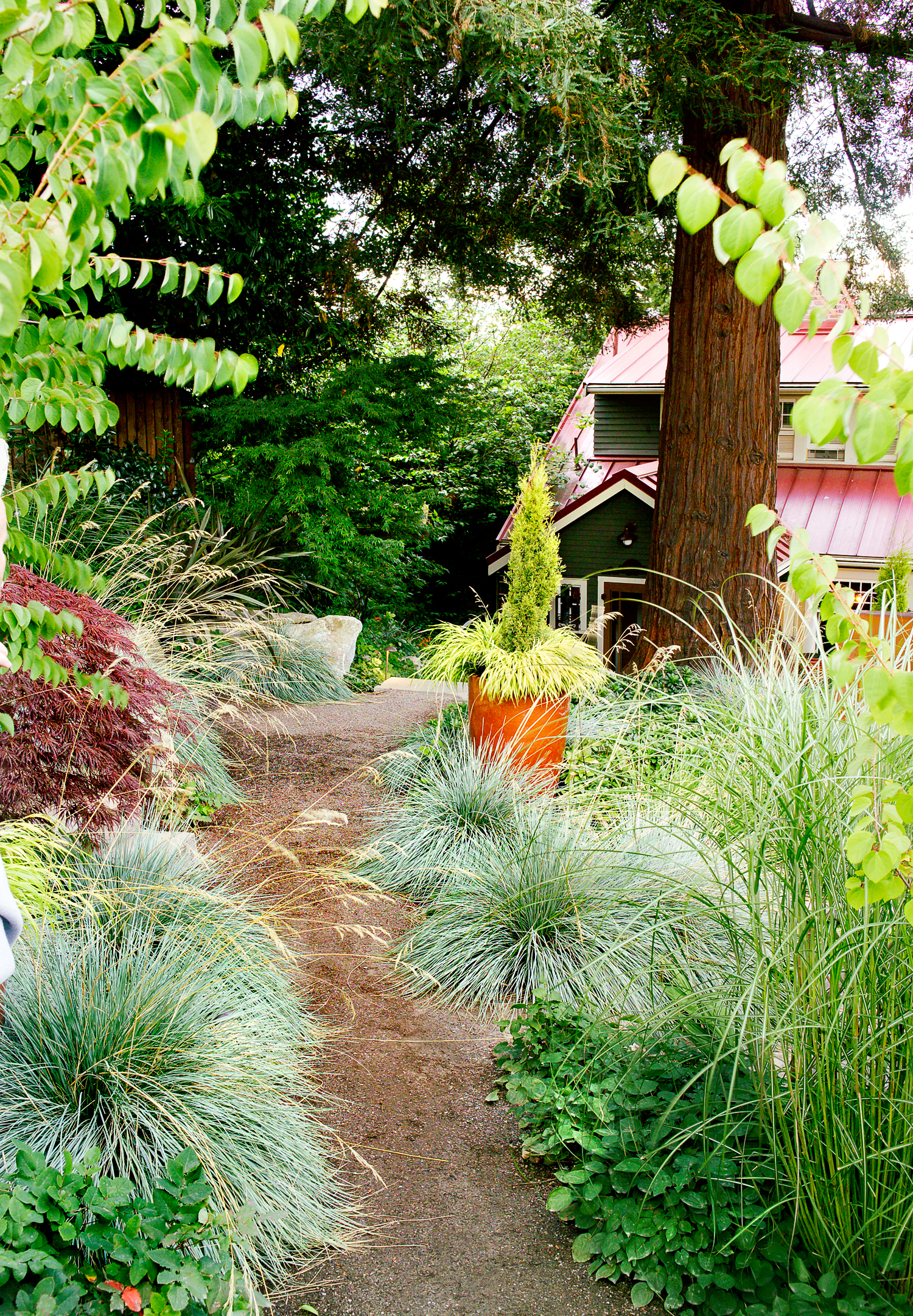 Great Garden Paths - Sunset - Sunset Magazine