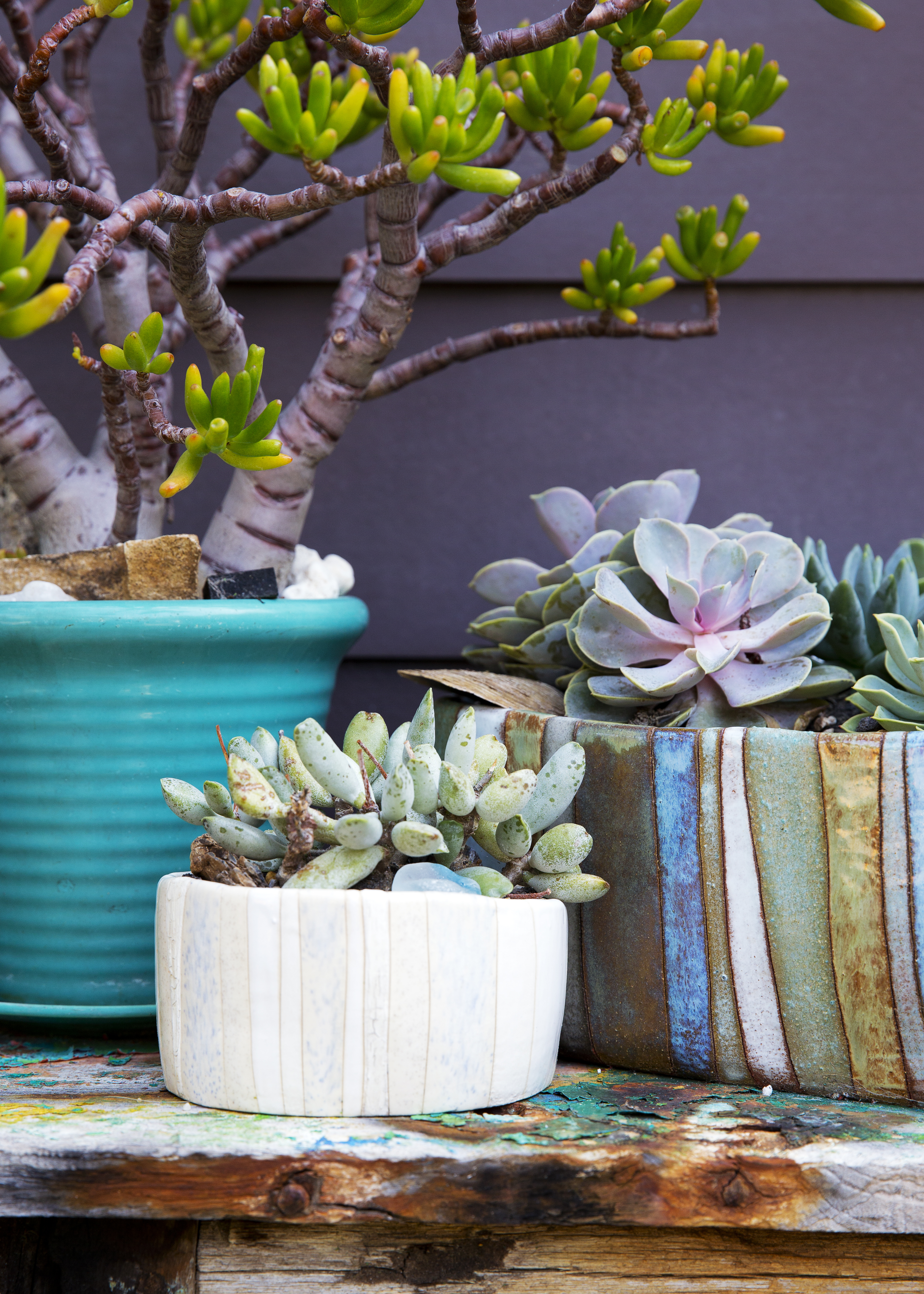 Coolest Container Gardens: 58 Ideas for Decks, Entryways, Yards ...