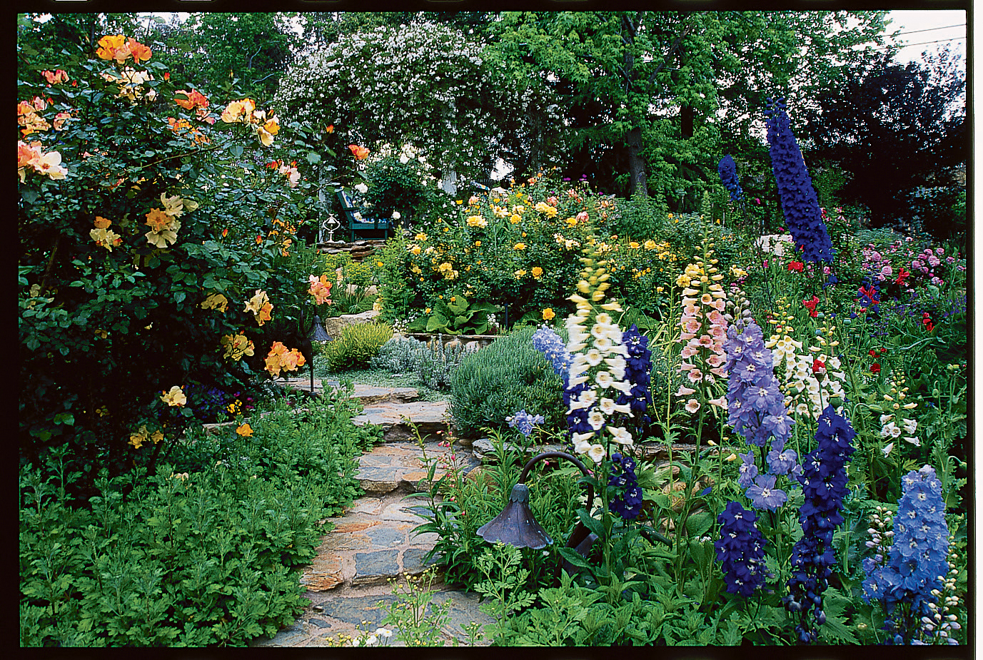 Use our planting and design tips to create your own cottage garden with ...