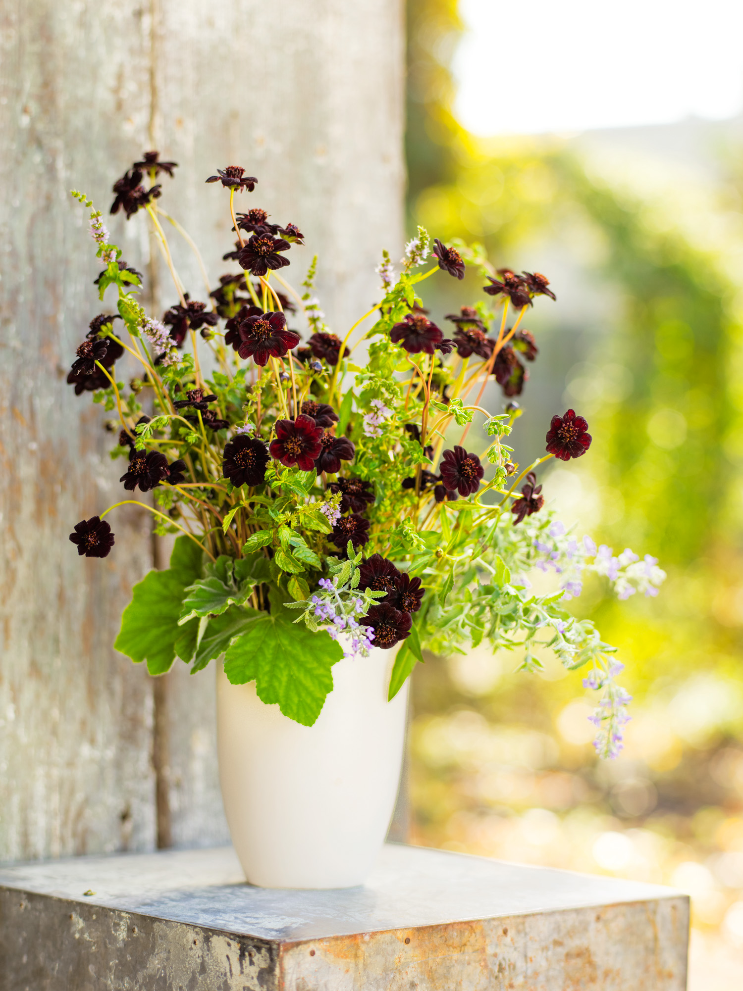 21 Best Foraged Plants for Bouquets - Sunset Magazine
