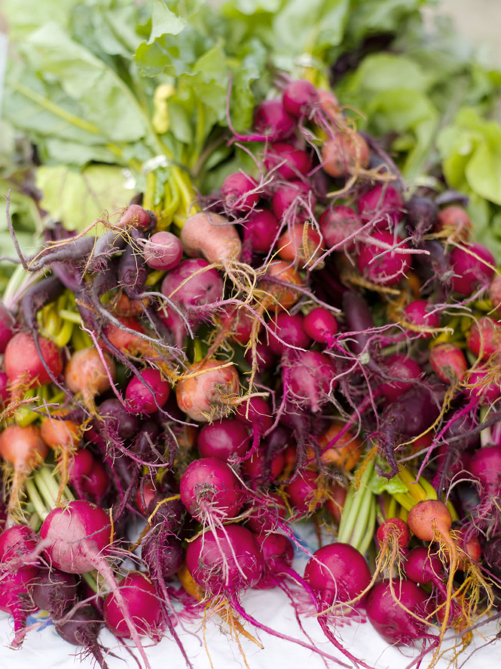 The food atlas - Sunset Magazine