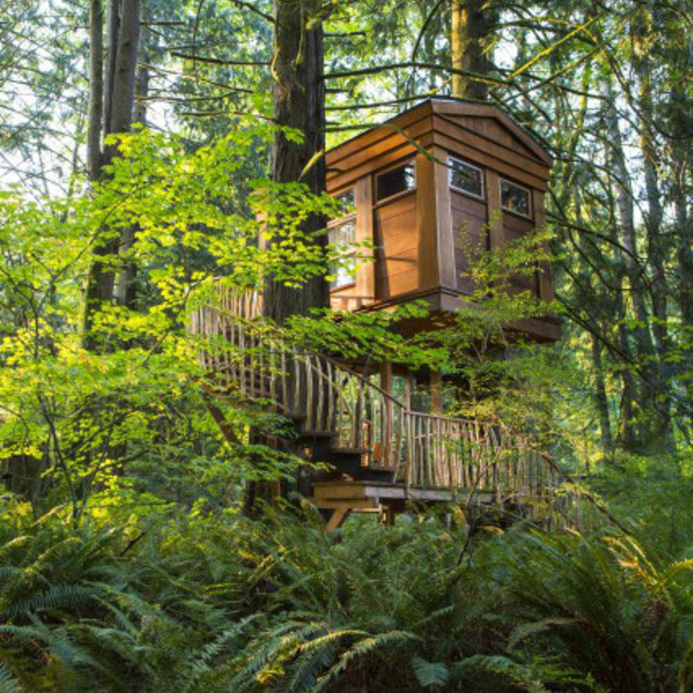 11 Amazing Treehouse Designs - Sunset Magazine