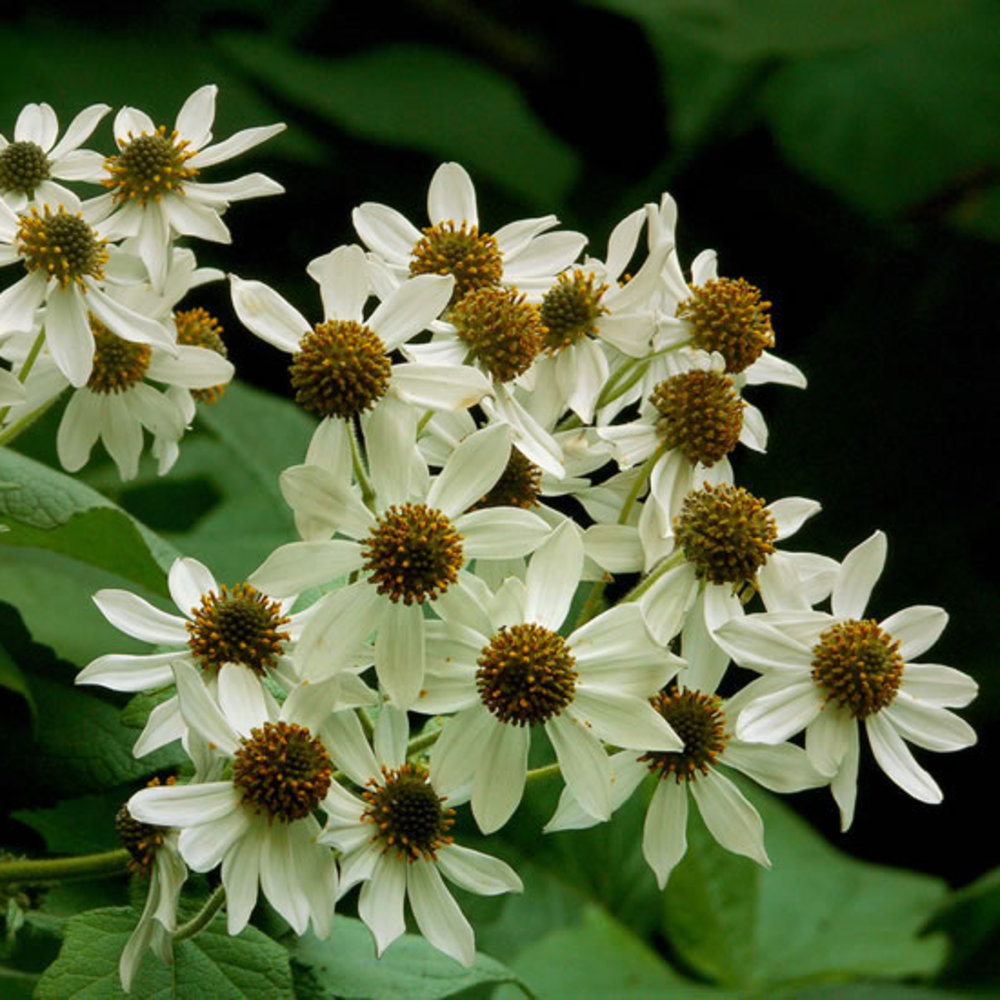 25 Things We’re Thankful For - Sunset Magazine