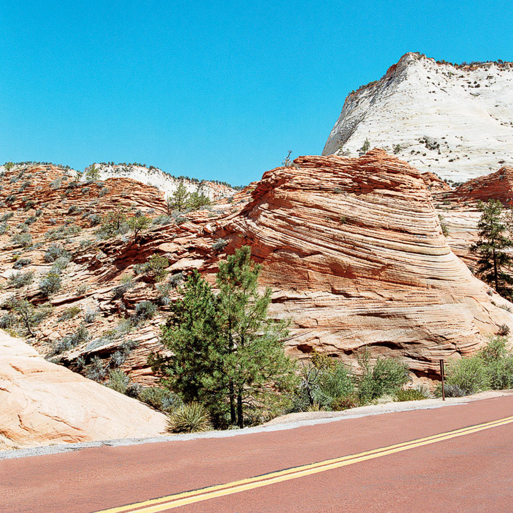 Top Wow Spots of Zion - Sunset Magazine