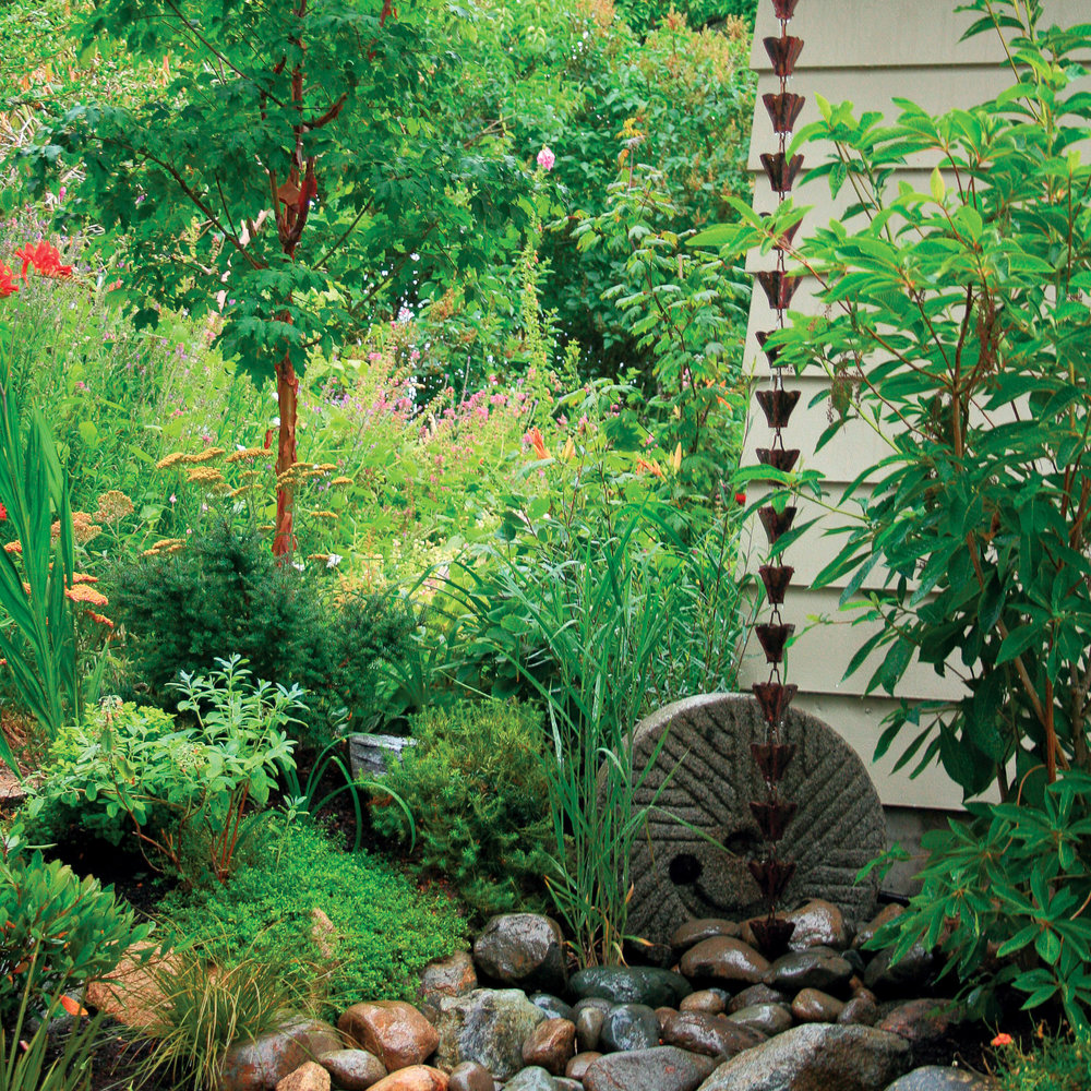How to Catch, Store, and Use Rainwater - Sunset Magazine