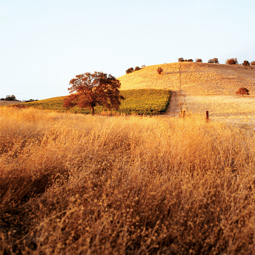 Rediscovering Gold Country - Sunset Magazine