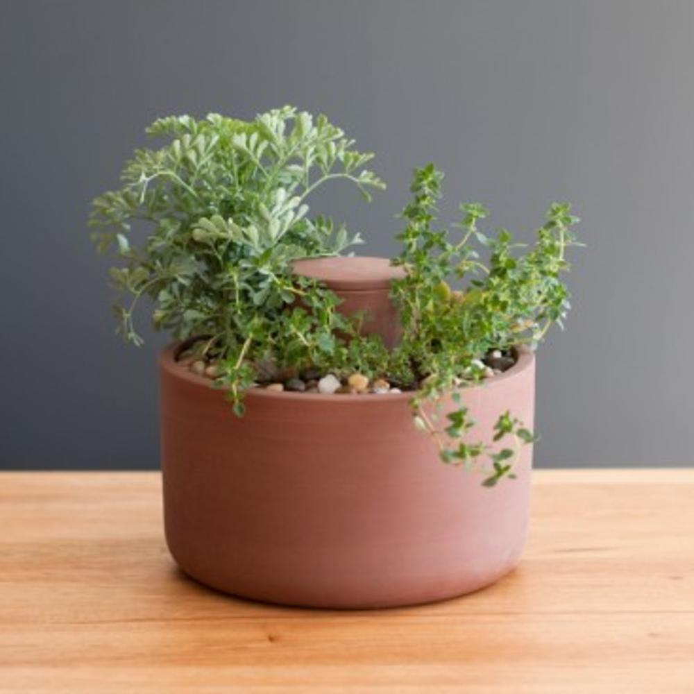 A planter for lazy gardeners - Sunset Magazine