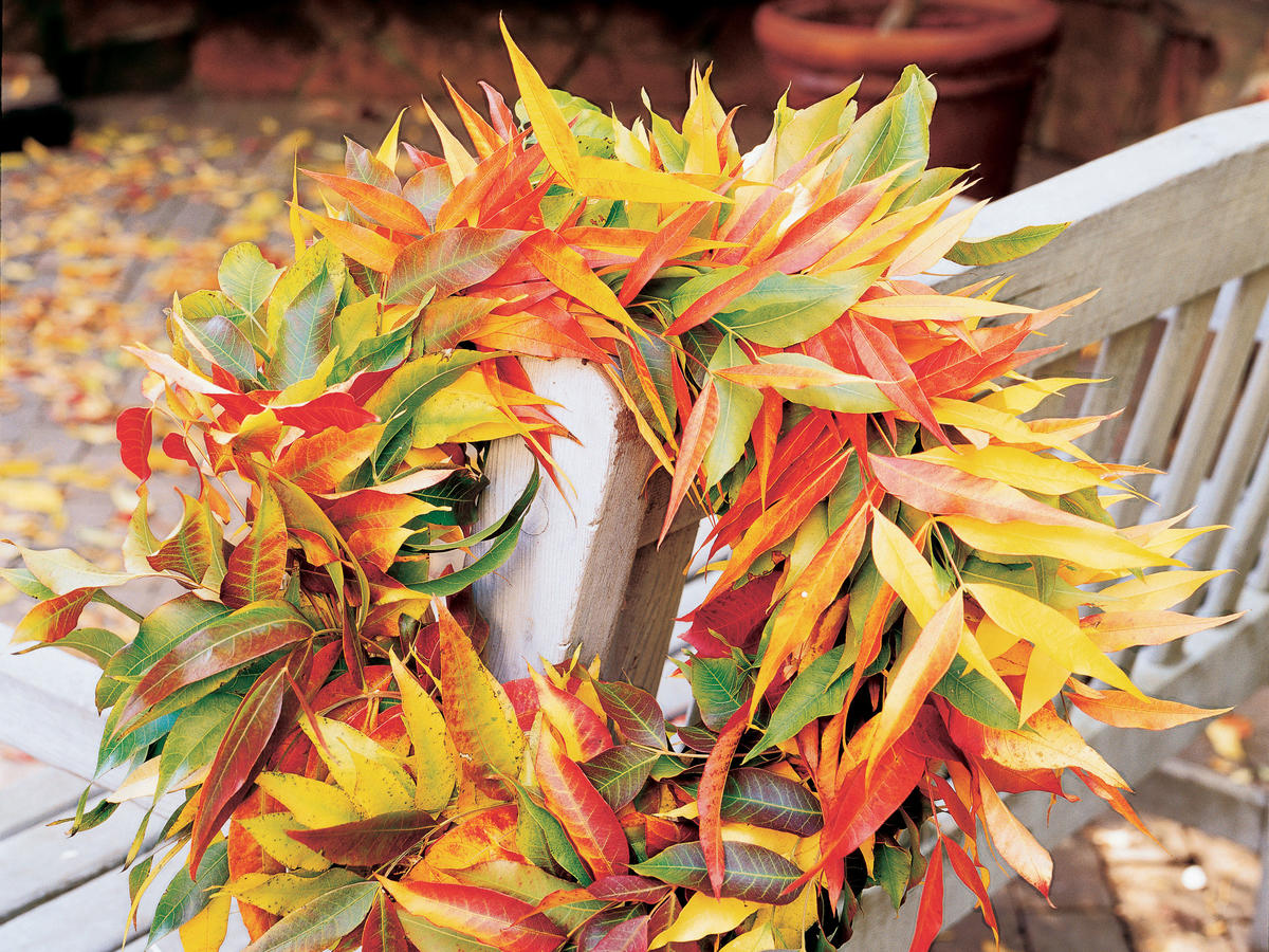 Creative Decorations with Fall Leaves - Sunset Magazine