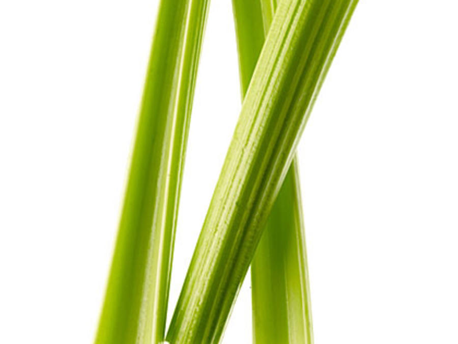 Celery Simple Syrup Recipe - Sunset Magazine