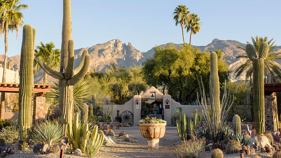 Best Arizona Wineries - Sunset Magazine