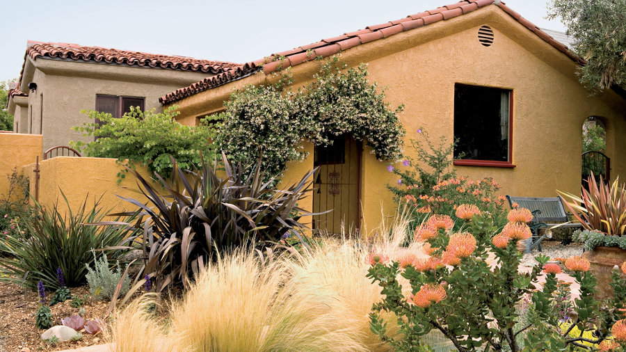 Lush garden, light touch - Sunset Magazine