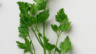 13 Ways to Cook with Fresh Parsley - Sunset Magazine - Sunset Magazine