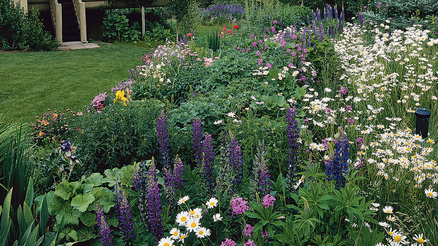 20 Garden Border Designs - Sunset Magazine - Sunset Magazine