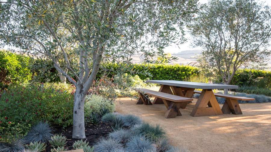 9 Ideas for a Stylish Outdoor Space - Sunset Magazine