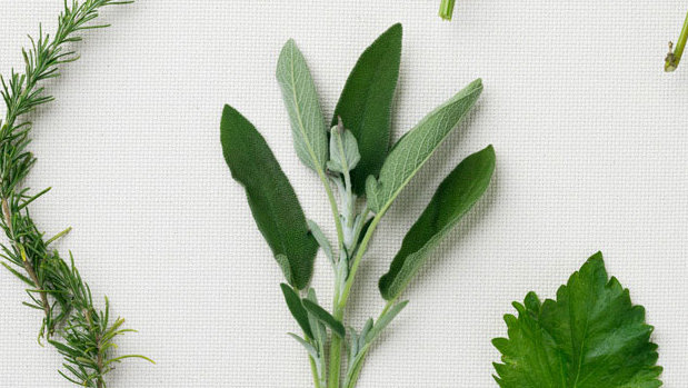 6 Tasty Recipes with Sage - Sunset Magazine - Sunset Magazine