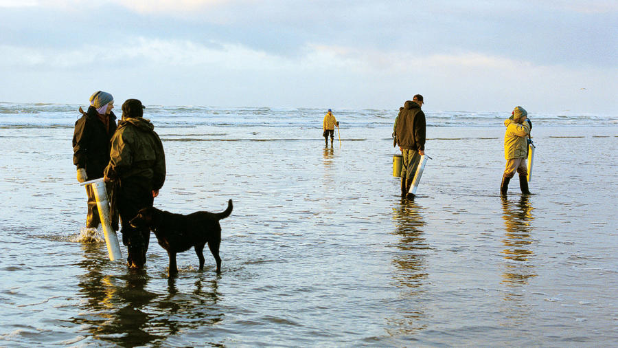 Day trip to Westport, WA - Sunset Magazine