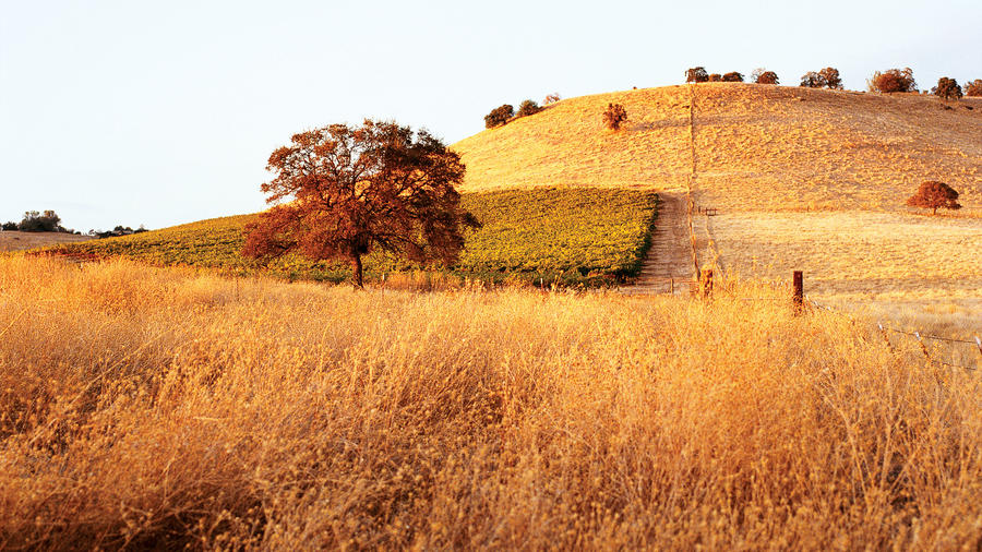 Rediscovering Gold Country - Sunset Magazine