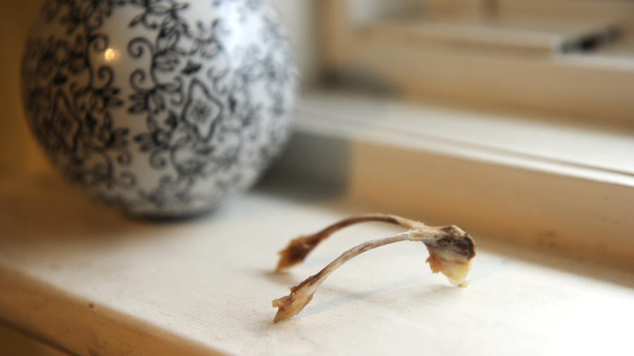 Why We Break the Wishbone on Thanksgiving - Sunset Magazine