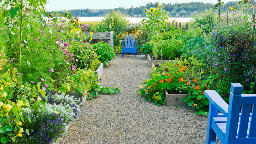 38 Gorgeous Garden Paths - Sunset Magazine - Sunset Magazine