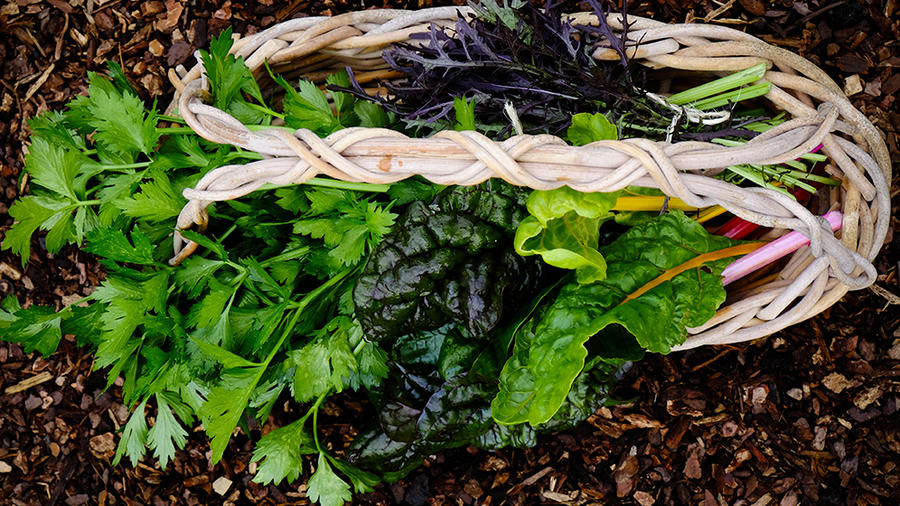 30 cool-season vegetables to plant now