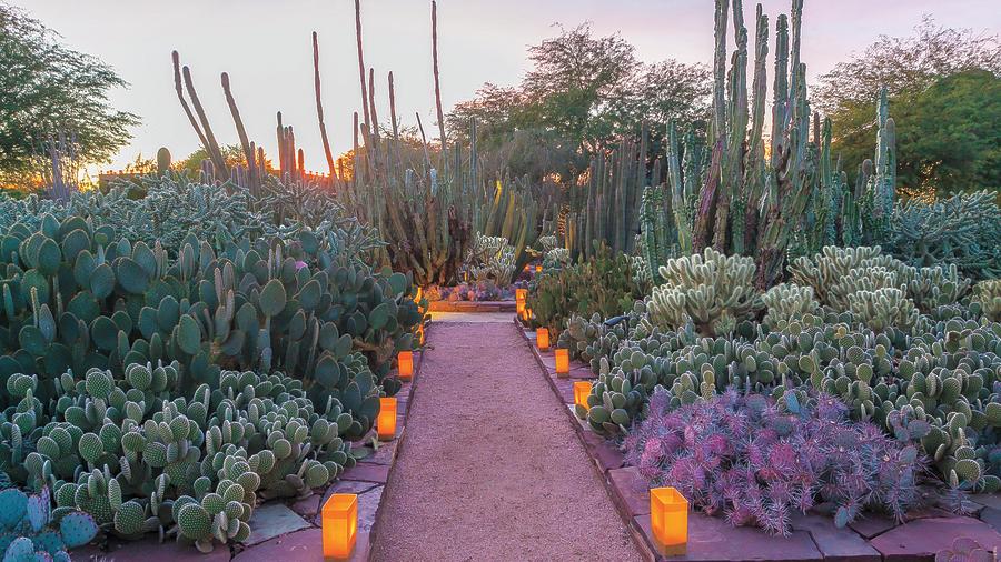 15 Essential Western Experiences for Garden-Lovers - Sunset Magazine