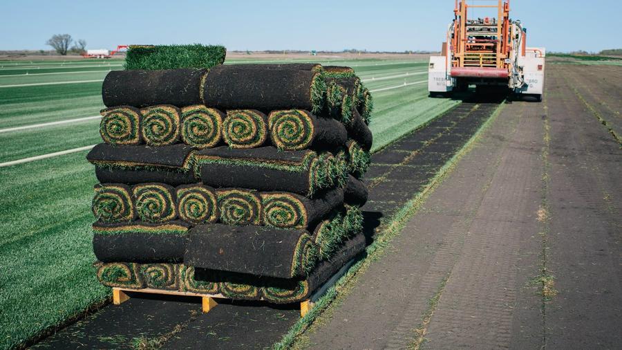 What it's like to be a sod farmer in the middle of a drought - Sunset ...