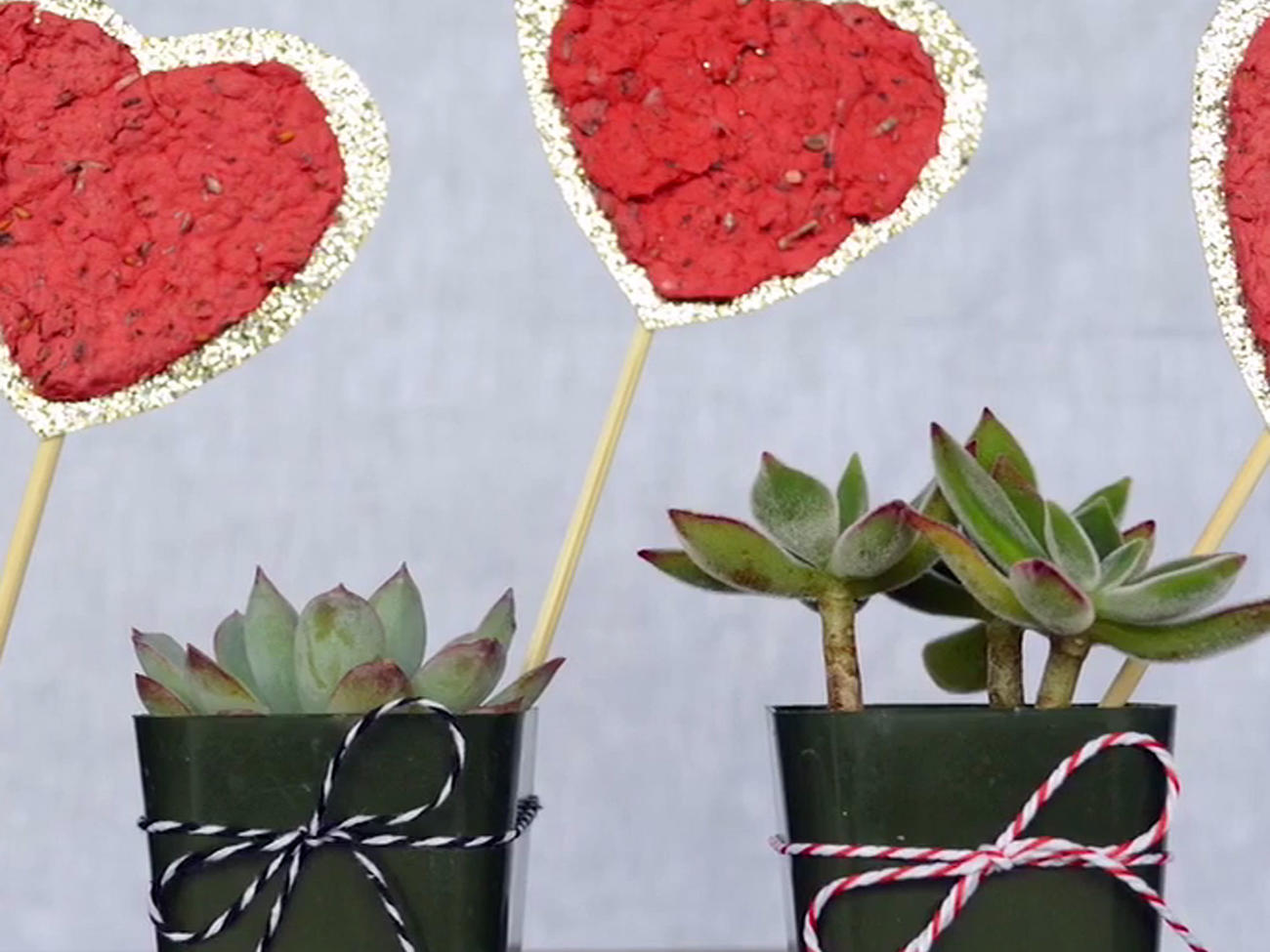 valentine-s-day-gifts-seed-paper-hearts