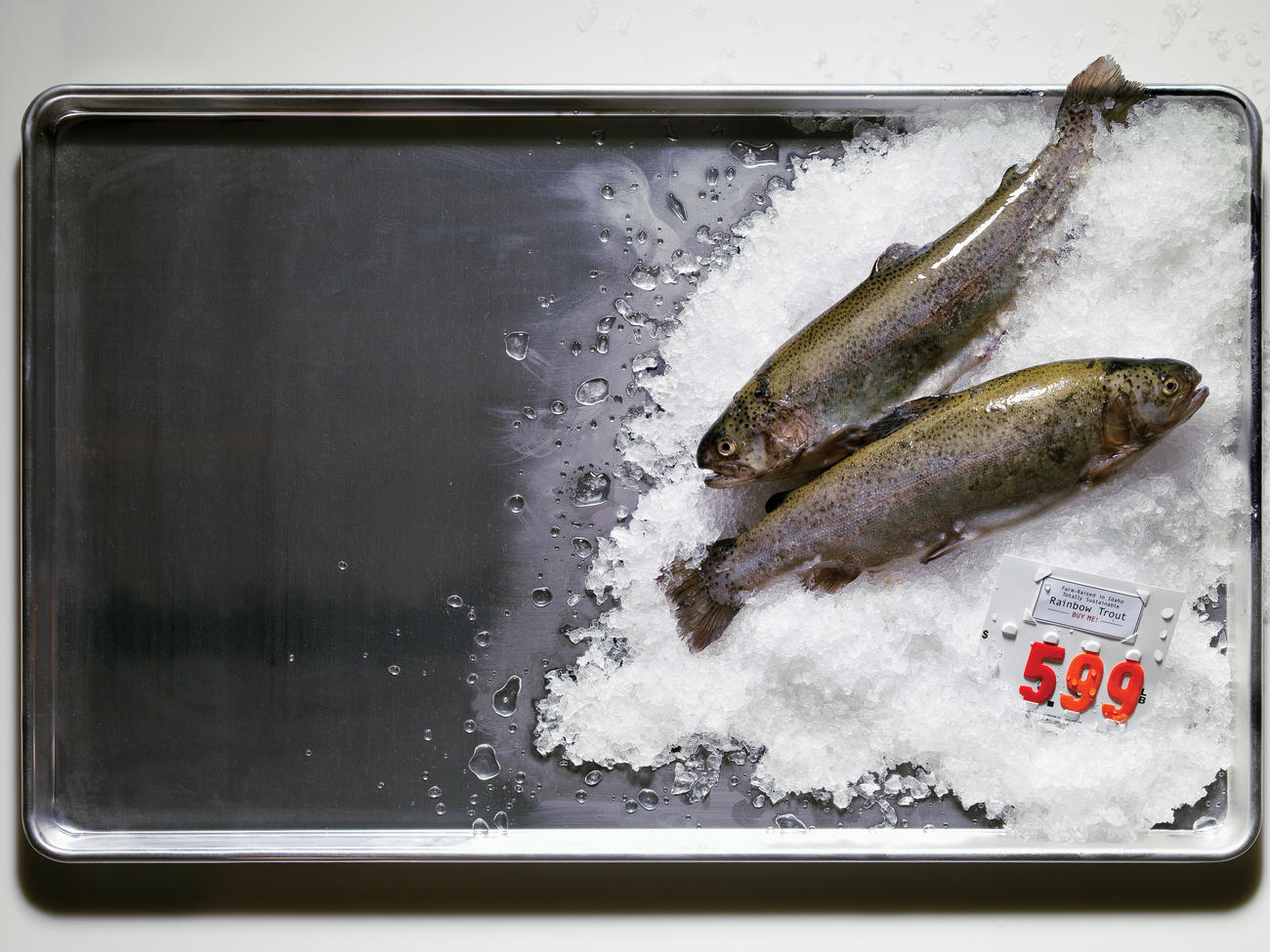 Guide to Sustainable Fish – Sunset Magazine