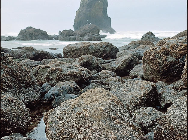 Explore Cannon Beach, OR – Sunset Magazine