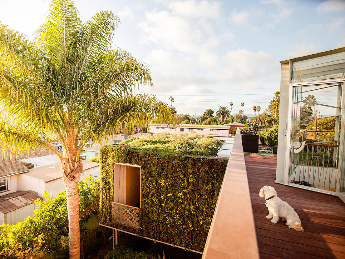 Landscaping - Sunset Magazine - Sunset Magazine