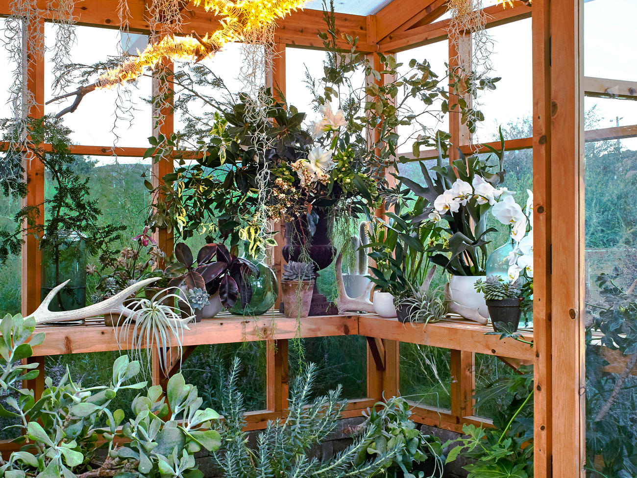 Decorating with Christmas Greenery – Sunset Magazine