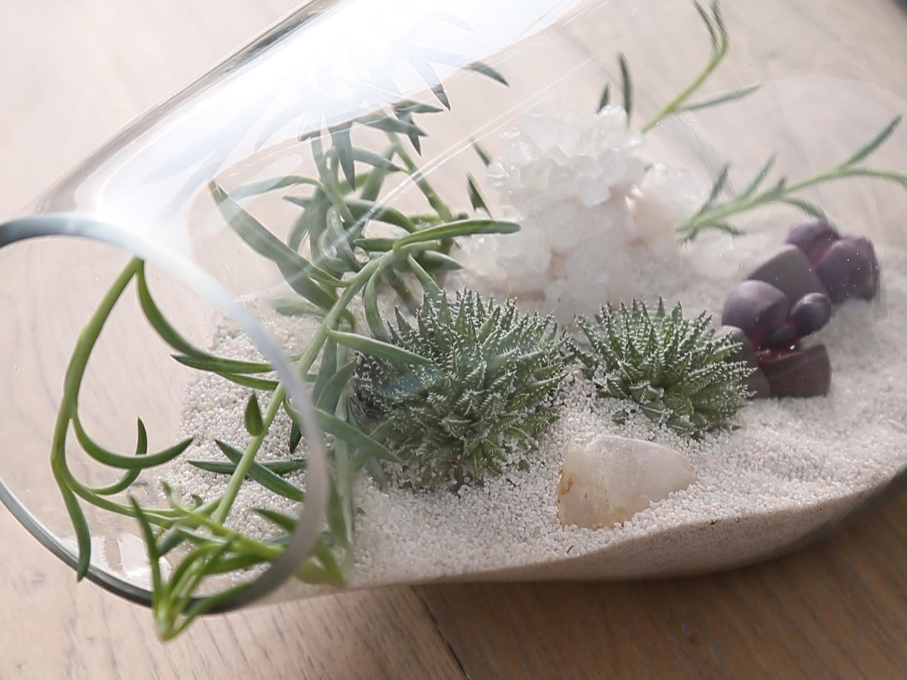 Undersea Succulent Arrangements in a Terrarium – Sunset Magazine