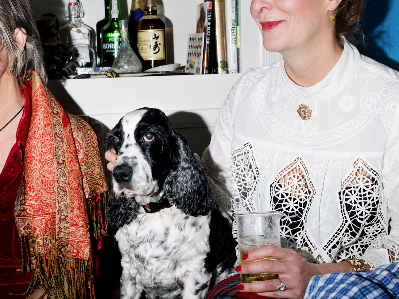 Christmas Party Ideas: How to Set a Lavish Spread – Sunset Magazine