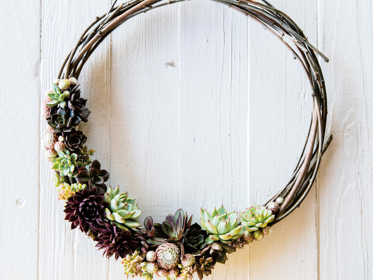 How to Make a Succulent Wreath – Sunset Magazine