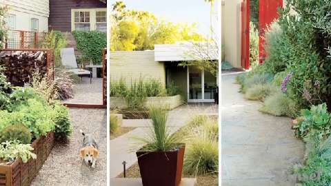 Video: Lawn-Free Landscaping – Sunset Magazine