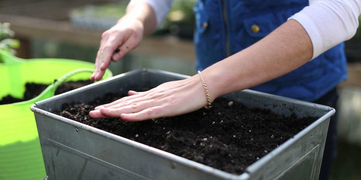 Sow Seeds – Sunset Magazine