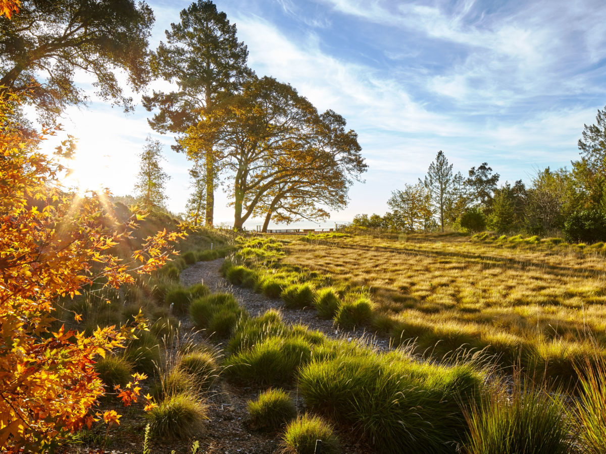 Fall Landscape: How to Optimize for Seasonal Color - Sunset Magazine