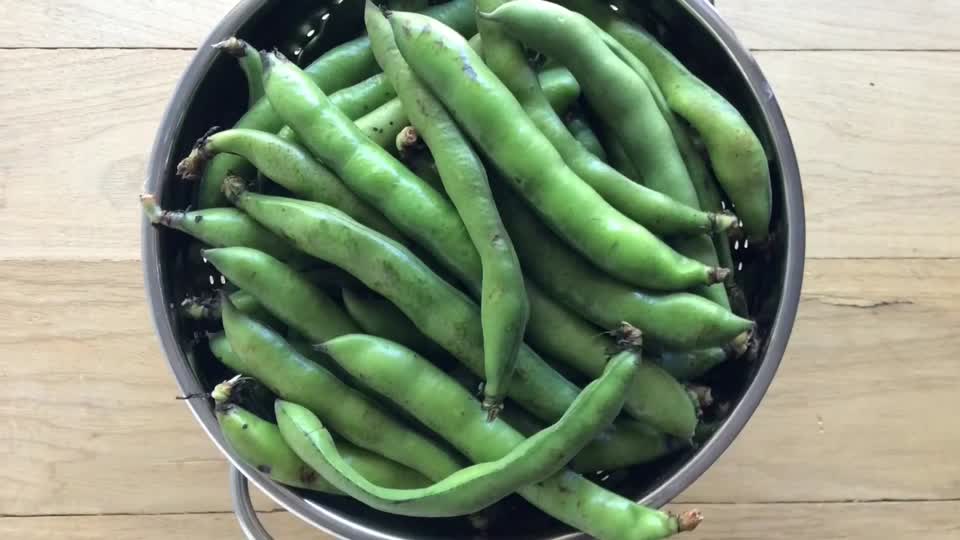How to double-shell fava beans – Sunset Magazine